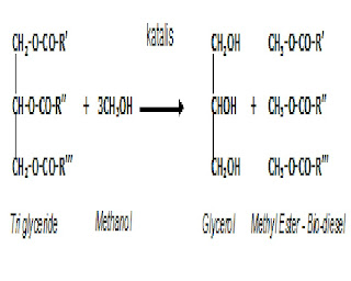 PRAMUDIA BLOG: BIODIESEL