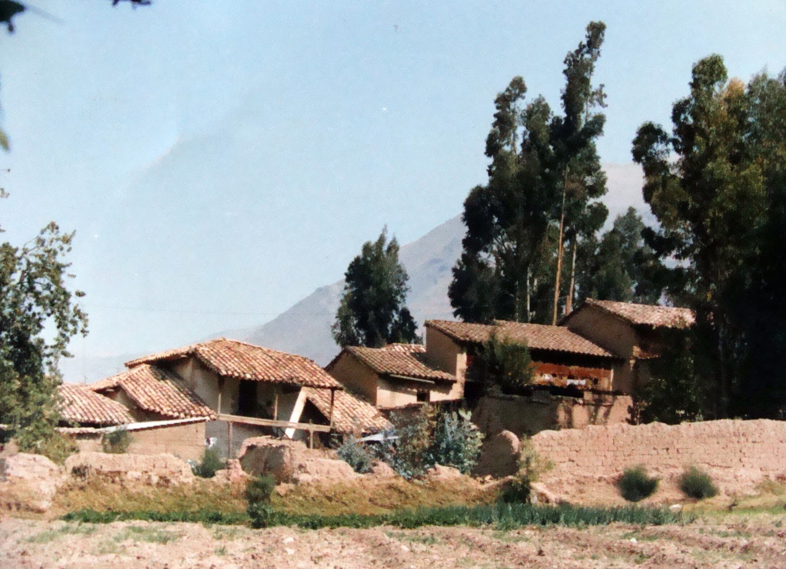 Suplemento cultural Solo 4: 28/10/12 - 4/11/12