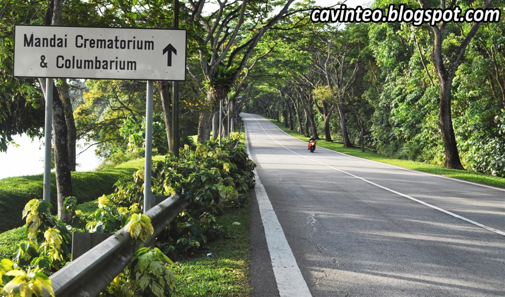 Entree Kibbles: A Walk Along Old Mandai Road