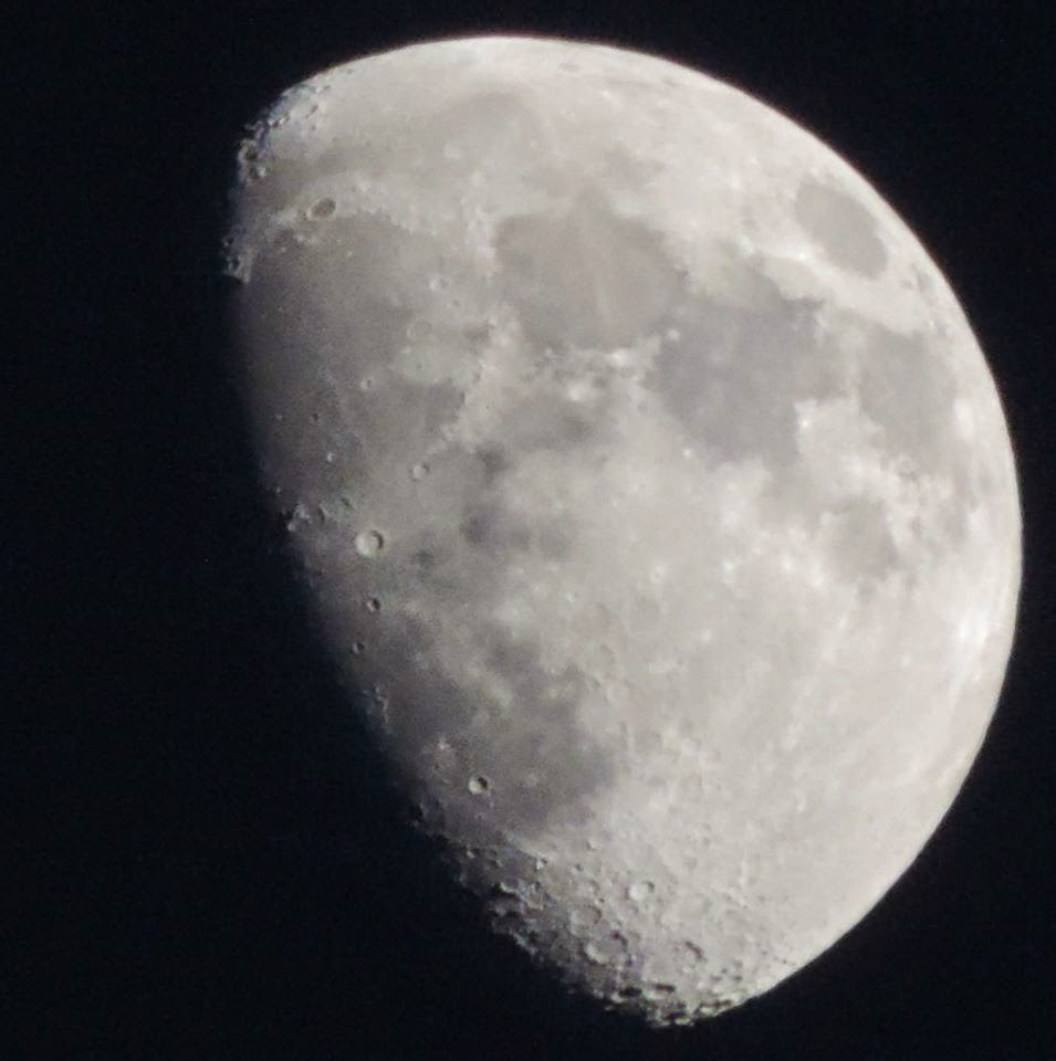 Shoot the Moon: June 2014