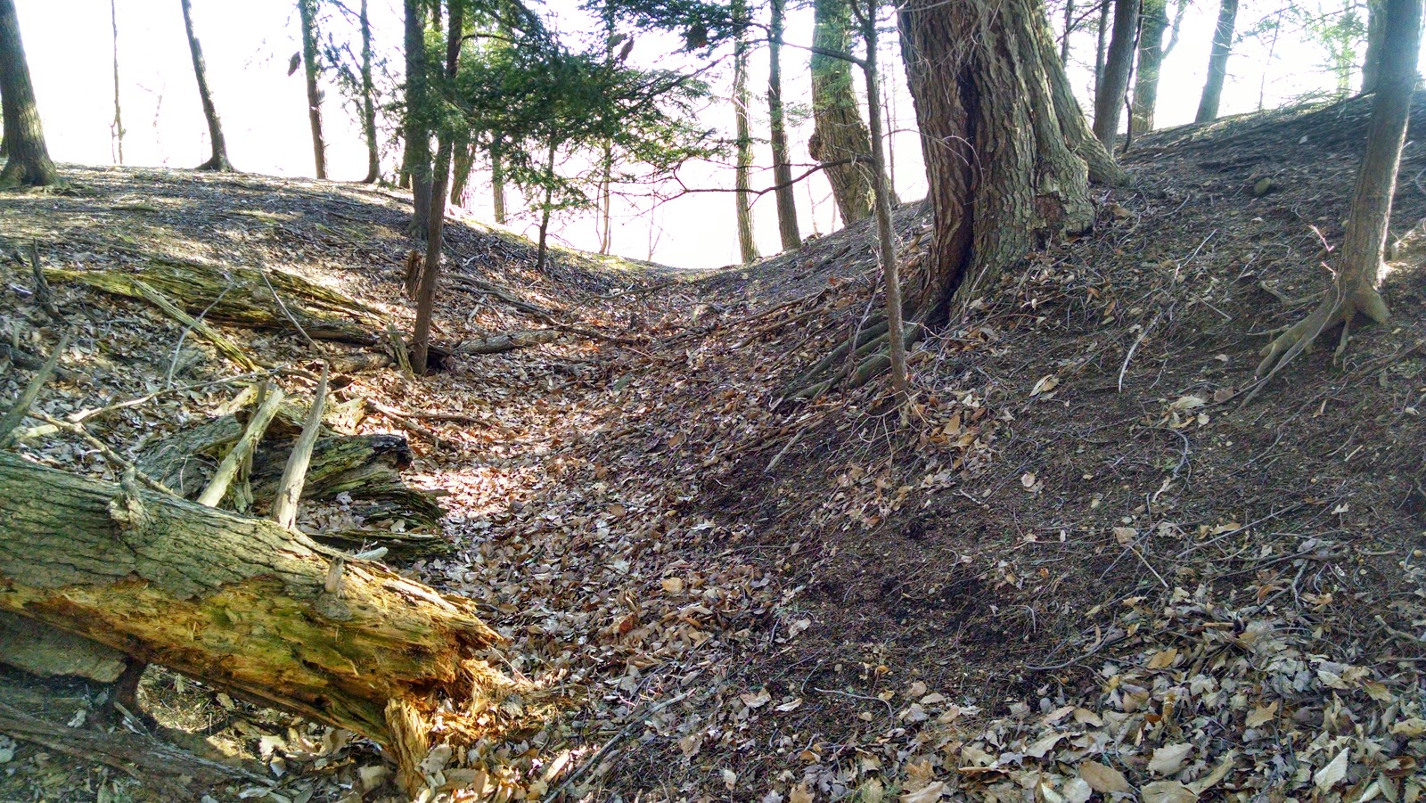 A View from the North Coast: Indian Point Park--in Leroy Township, Ohio