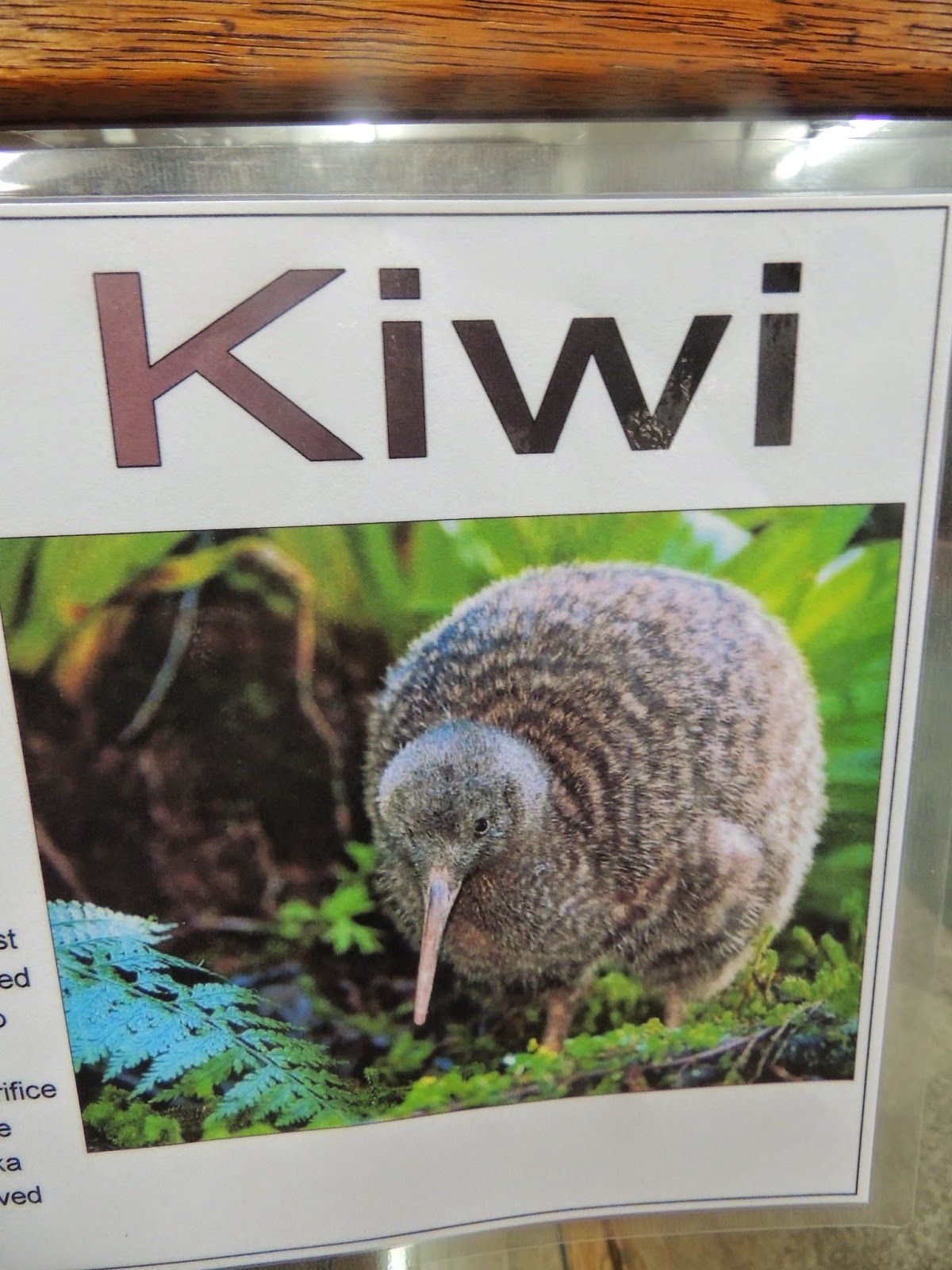 THE ROAD TAKEN : Mokau: Black Sand Beach