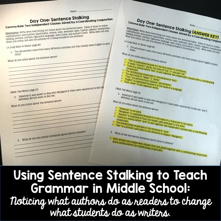 Six Reasons to Use Mentor Sentences to Build Student Writers – The ...