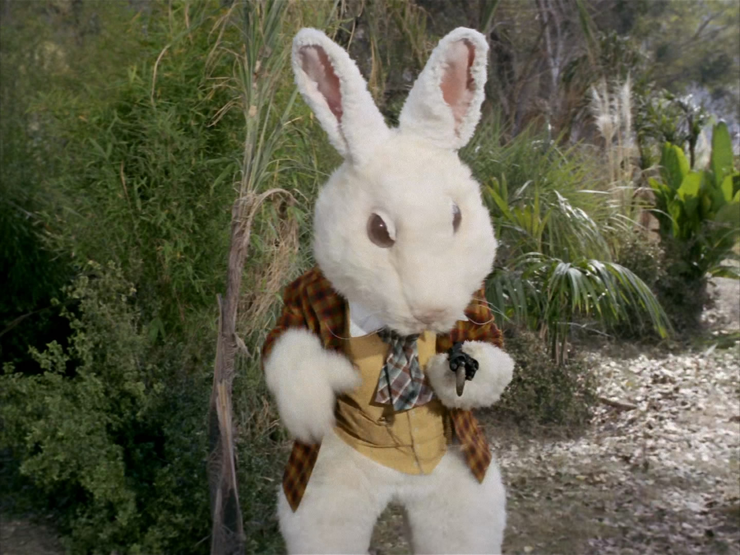 STAR TREK PICTURE CAPTIONS (NO LONGER UPDATED): STAR TREK PICTURE ...