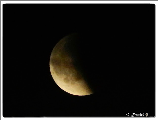Photos Daniel: Eclipse