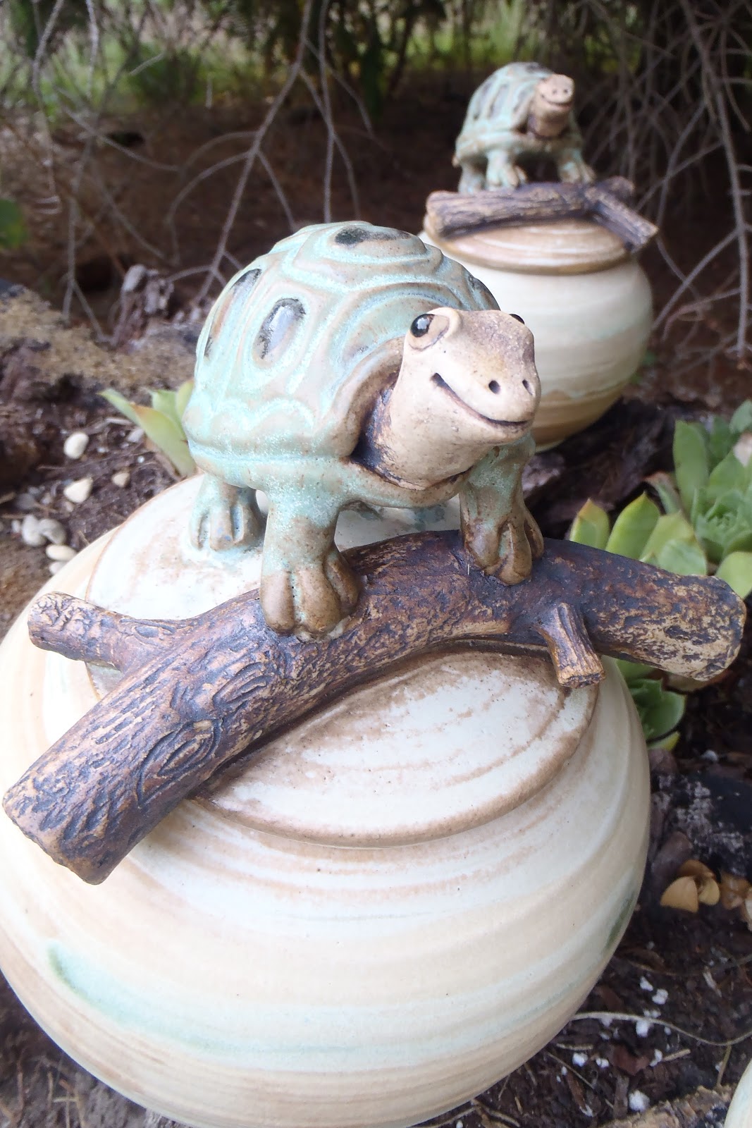 Turtle Pots