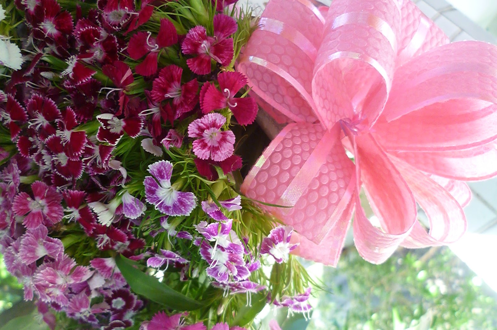 The Flower Shop: Velvet Violet