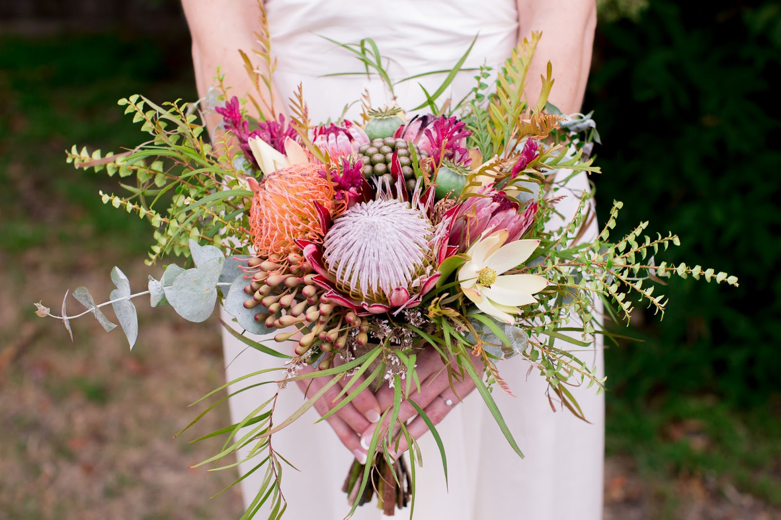 Swallows Nest Farm: January Flowers