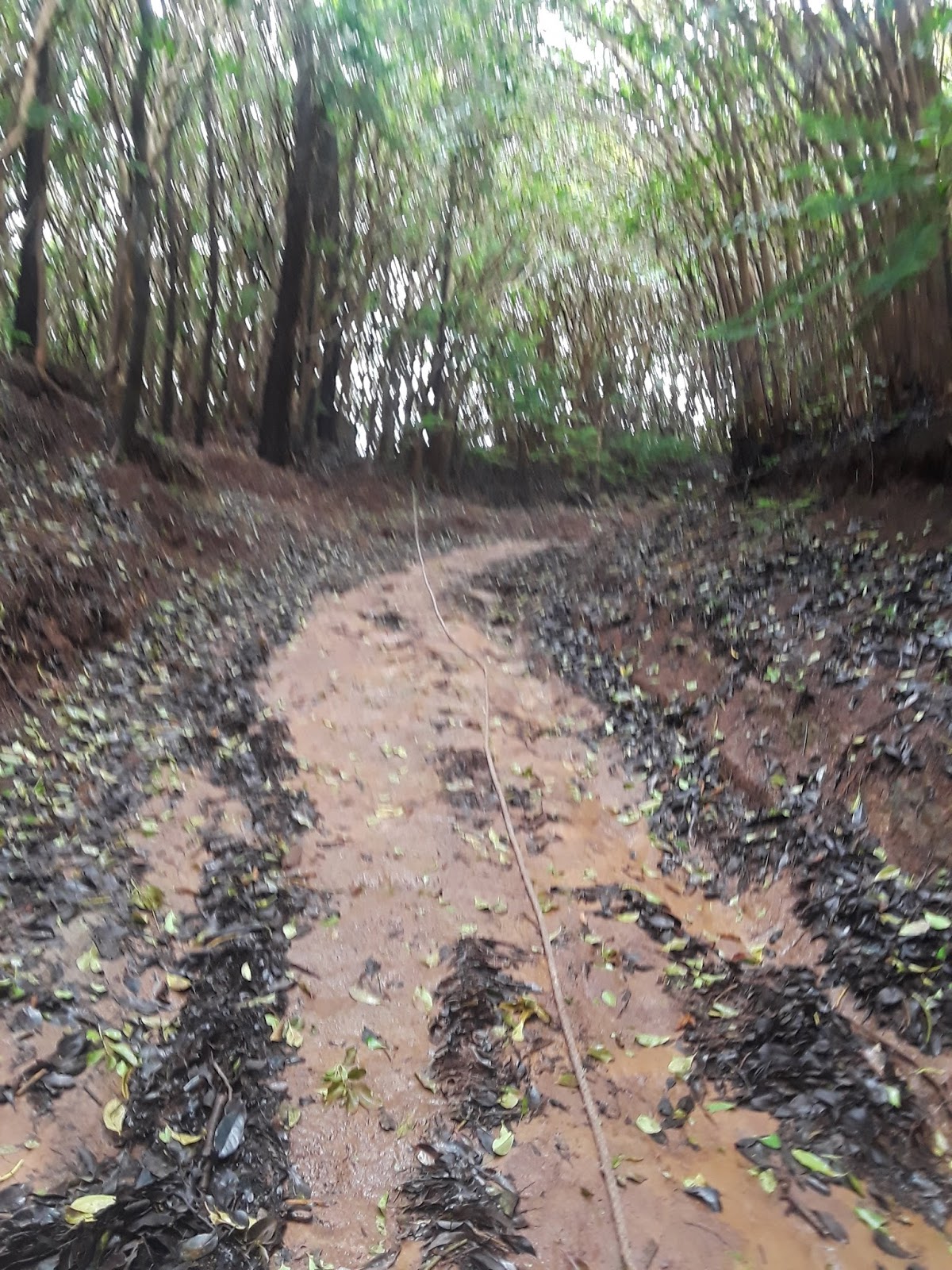 Elder Logan Porter: April 2018