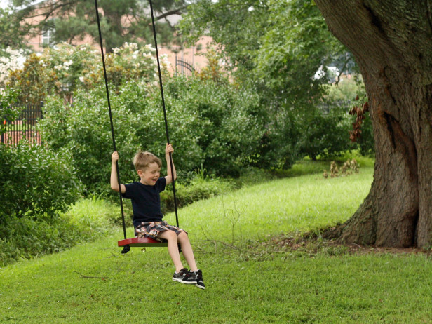 Piedmont Tree Climbing (PTC): Tree Swing Installation
