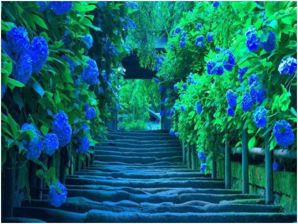 Ladiesfashionsense.com Blog: Blue Inspirations " Feeling Blue"