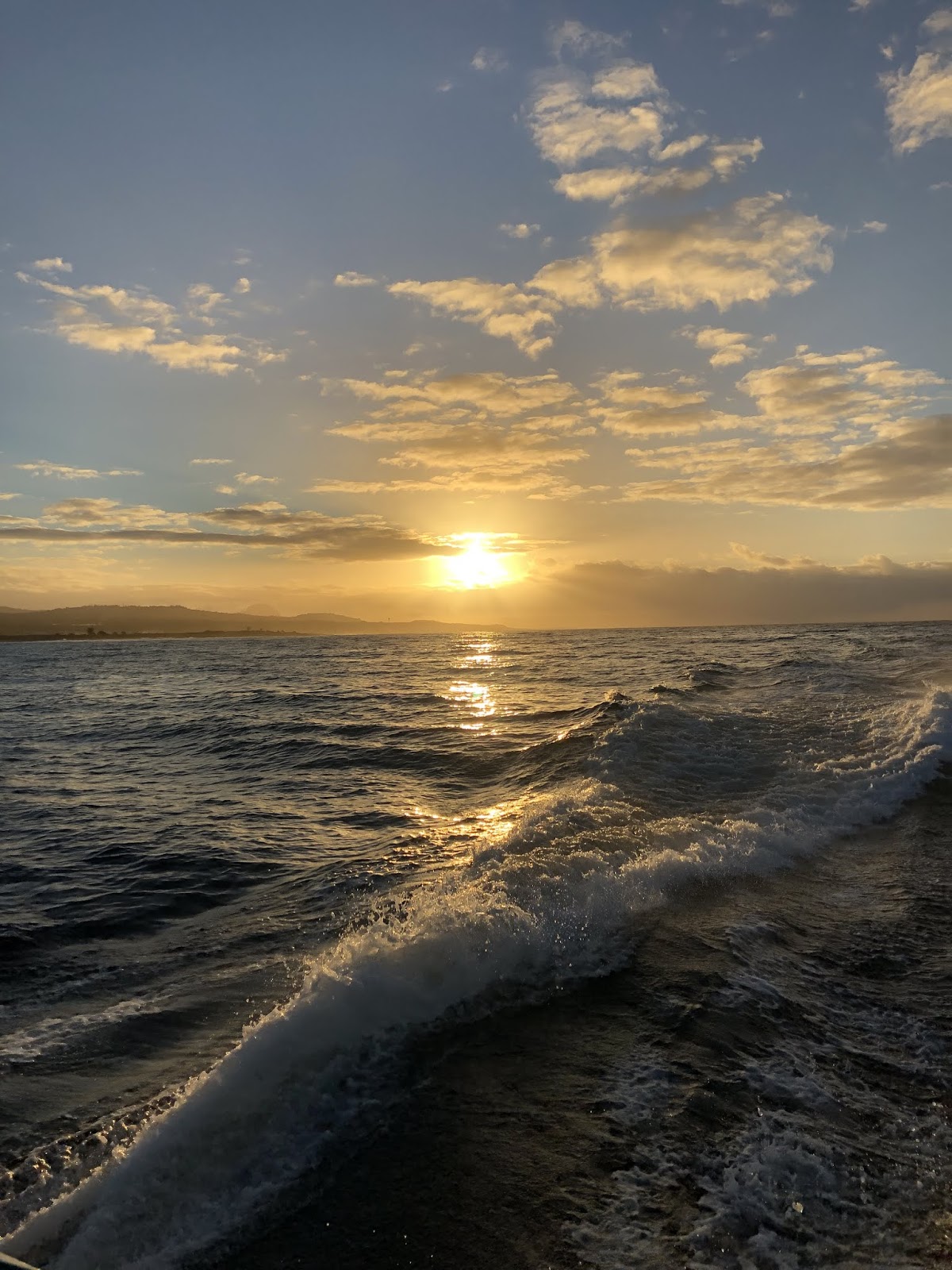 Color Outside the Lines: Back from Hawaii