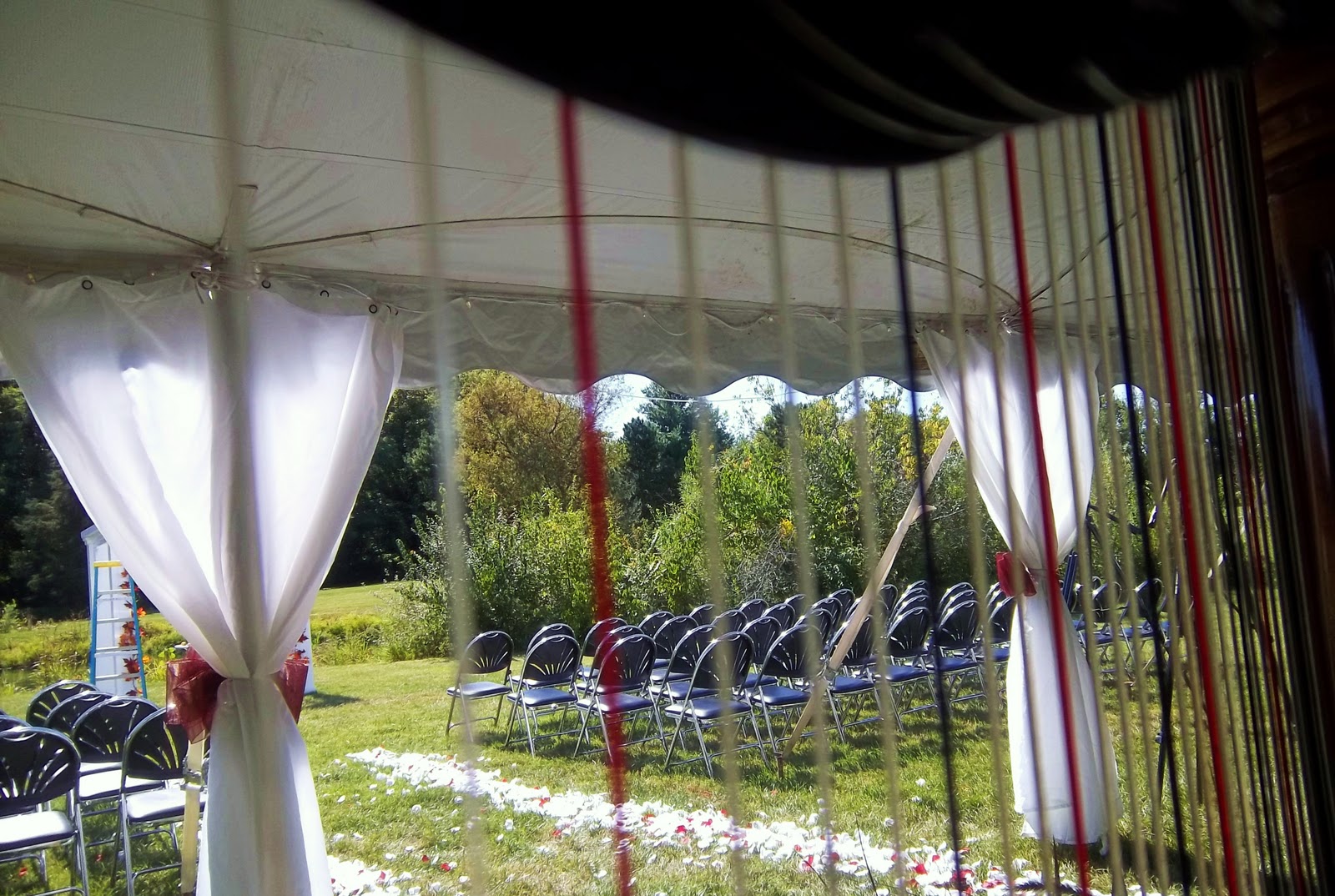 The Classic Harpist: West Lafayette Harpist ~ Wedding at Ross Camp