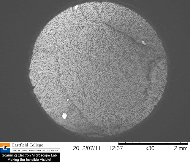 Scanning Electron Microscope Blog: Popcorn Revealed