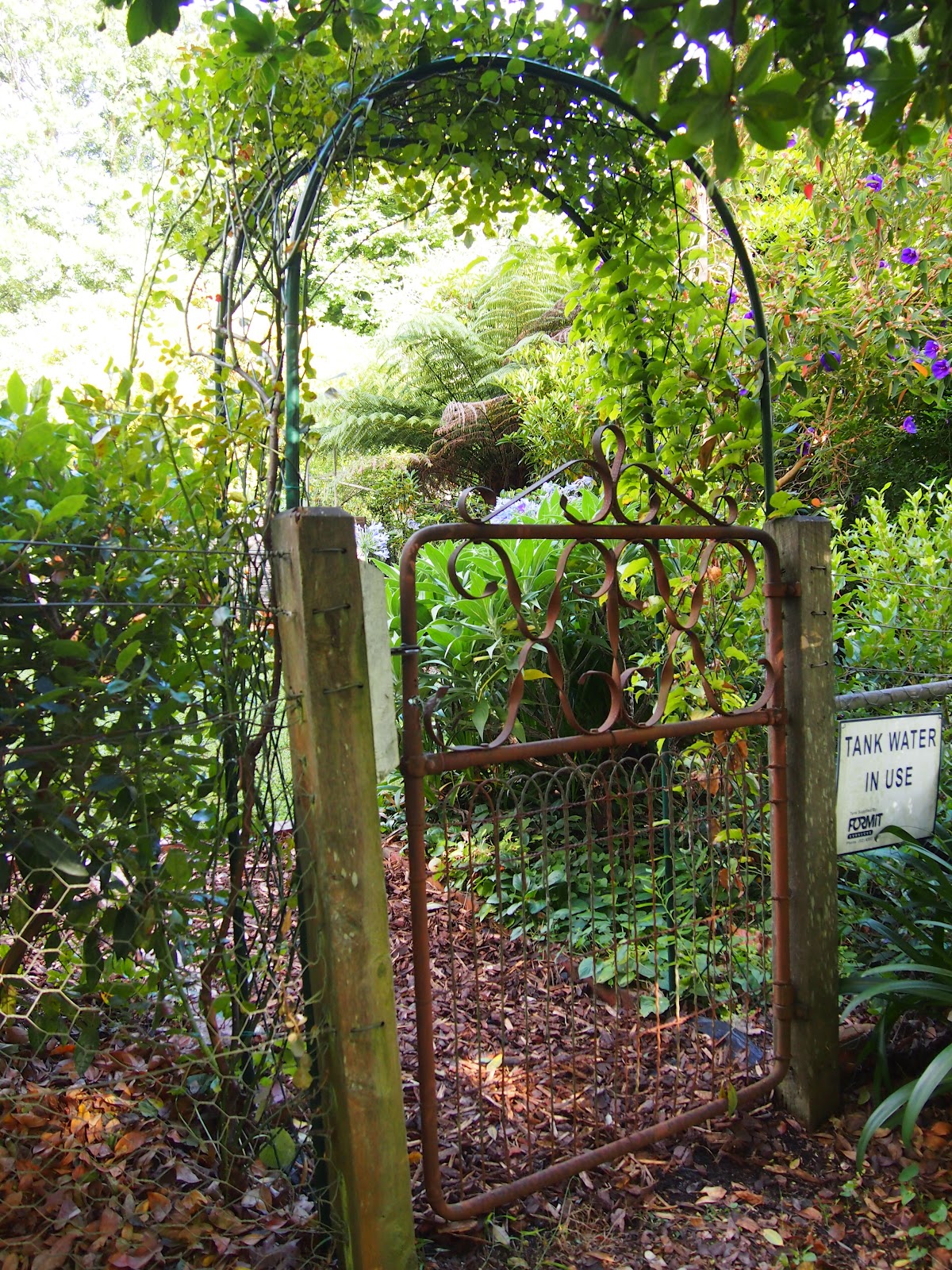 beautiful south: Country Gates 4