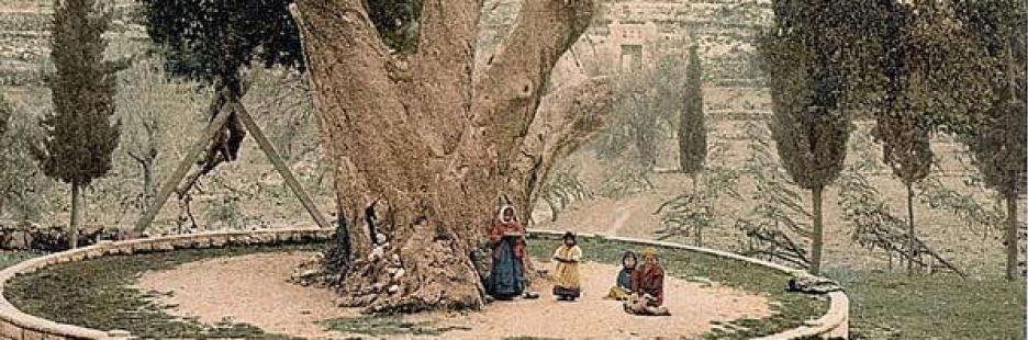 TheBibleNet: August 2016