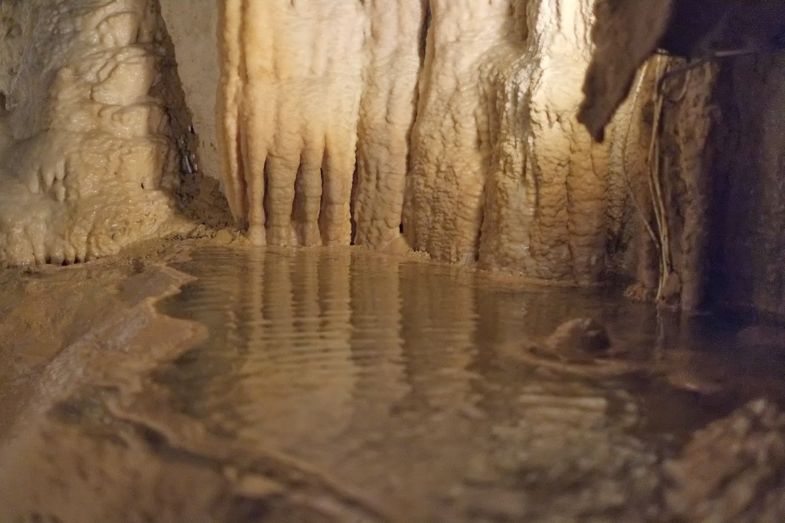 Nueva Zelanda - Mi visión: WAITOMO ARANUI CAVE – CUEVA DE ARANUI