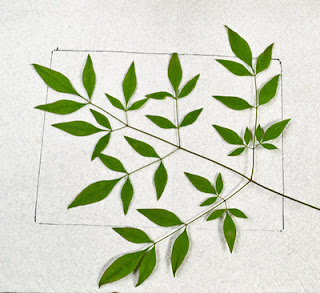 Rose Mary's Clay: "Fossil Vitra" Fused Glass