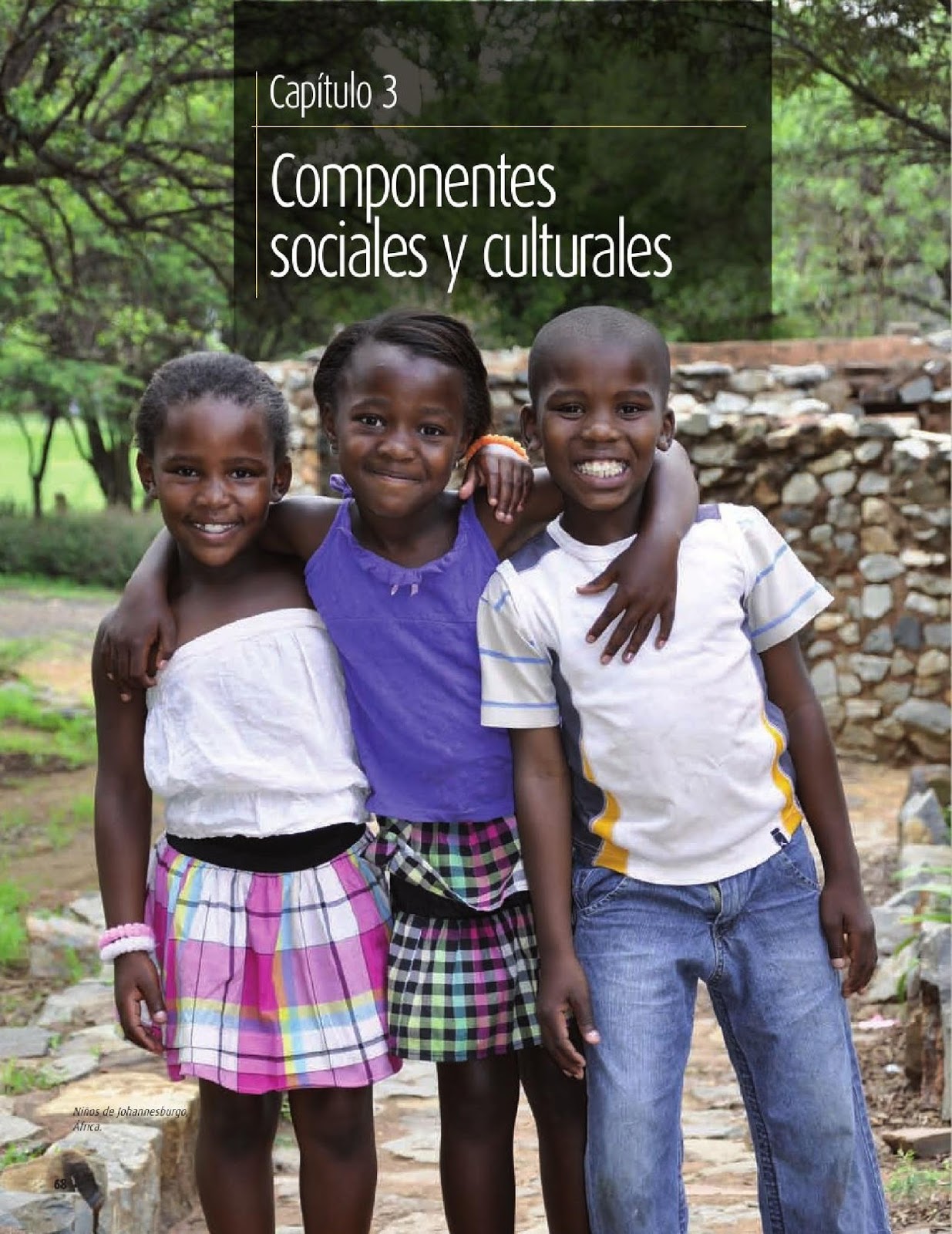 Componentes sociales y culturales - Capítulo 3 - Apoyo Primaria