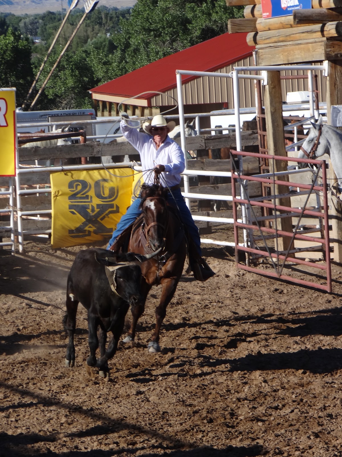 Here's to all about Fruita.: Rodeo nght at Rimrock August 16 provided ...