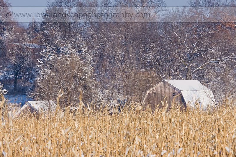 Iowa Landscape Photography