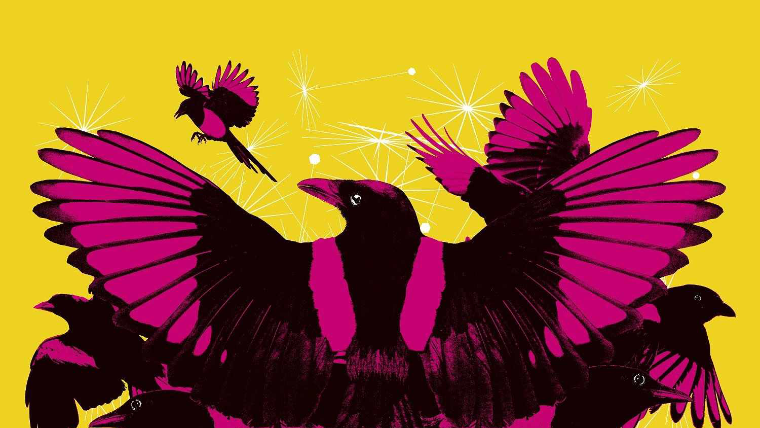 The Avett Brothers: Magpie and the Dandelions (Album Review) — Eclectic Pop