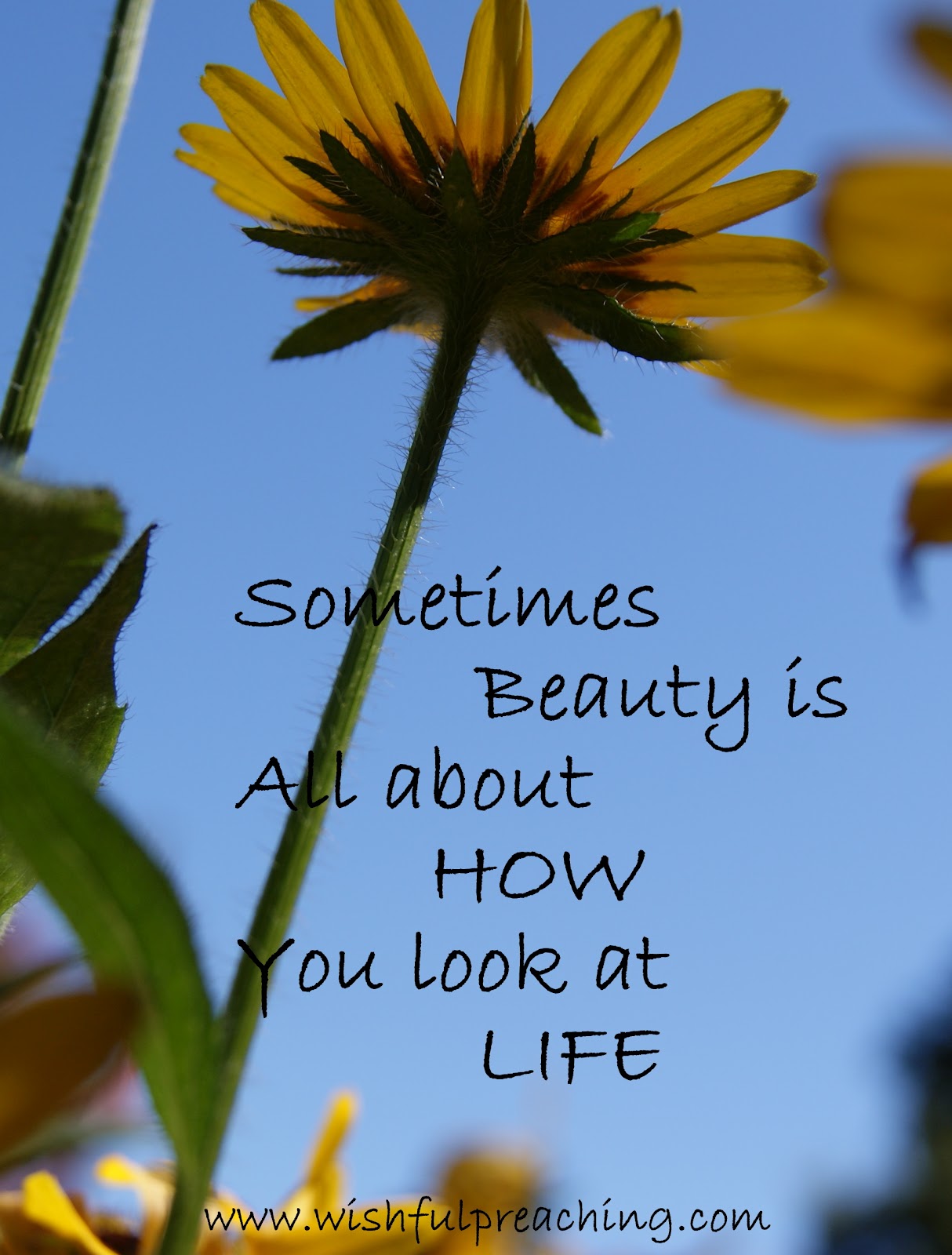 Wishful Preaching: Perspective - How Do You Look at Life?