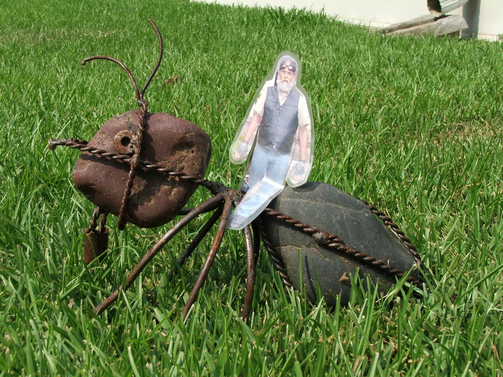 Flat Wooley Travels: RIDING ANTS...HANK WILLIAMS... AND THE GIANT PUSSY