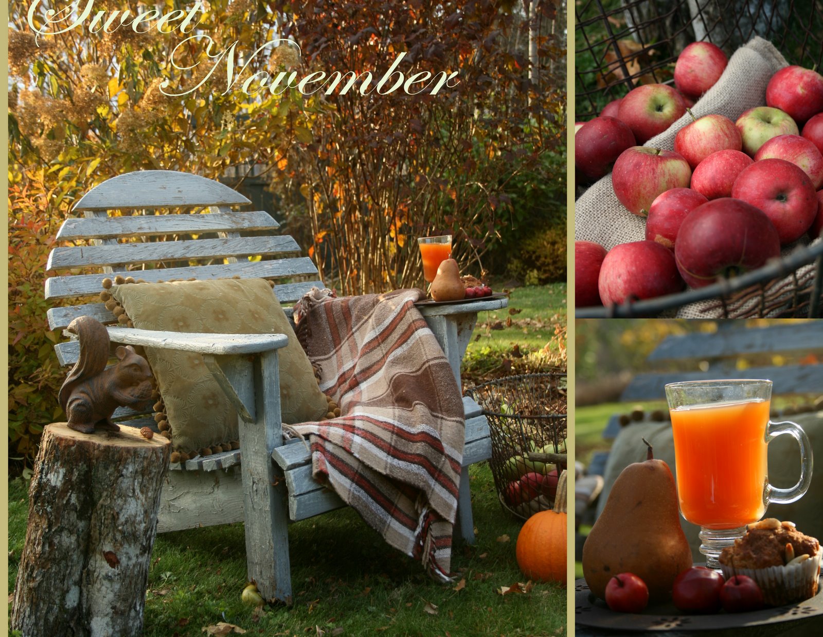 Aiken House & Gardens: Sweet November