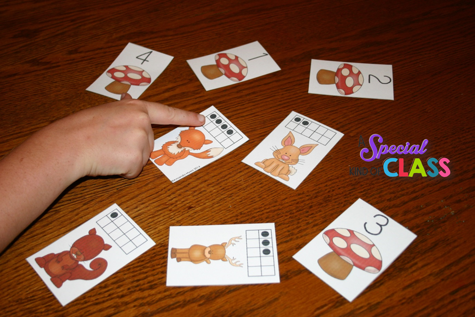 A special kind of class: Work Station Wednesday - Forest Animals