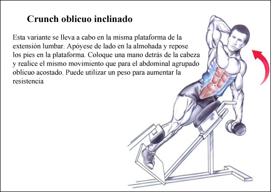 Entrenar los oblicuos ~ Culturismo total