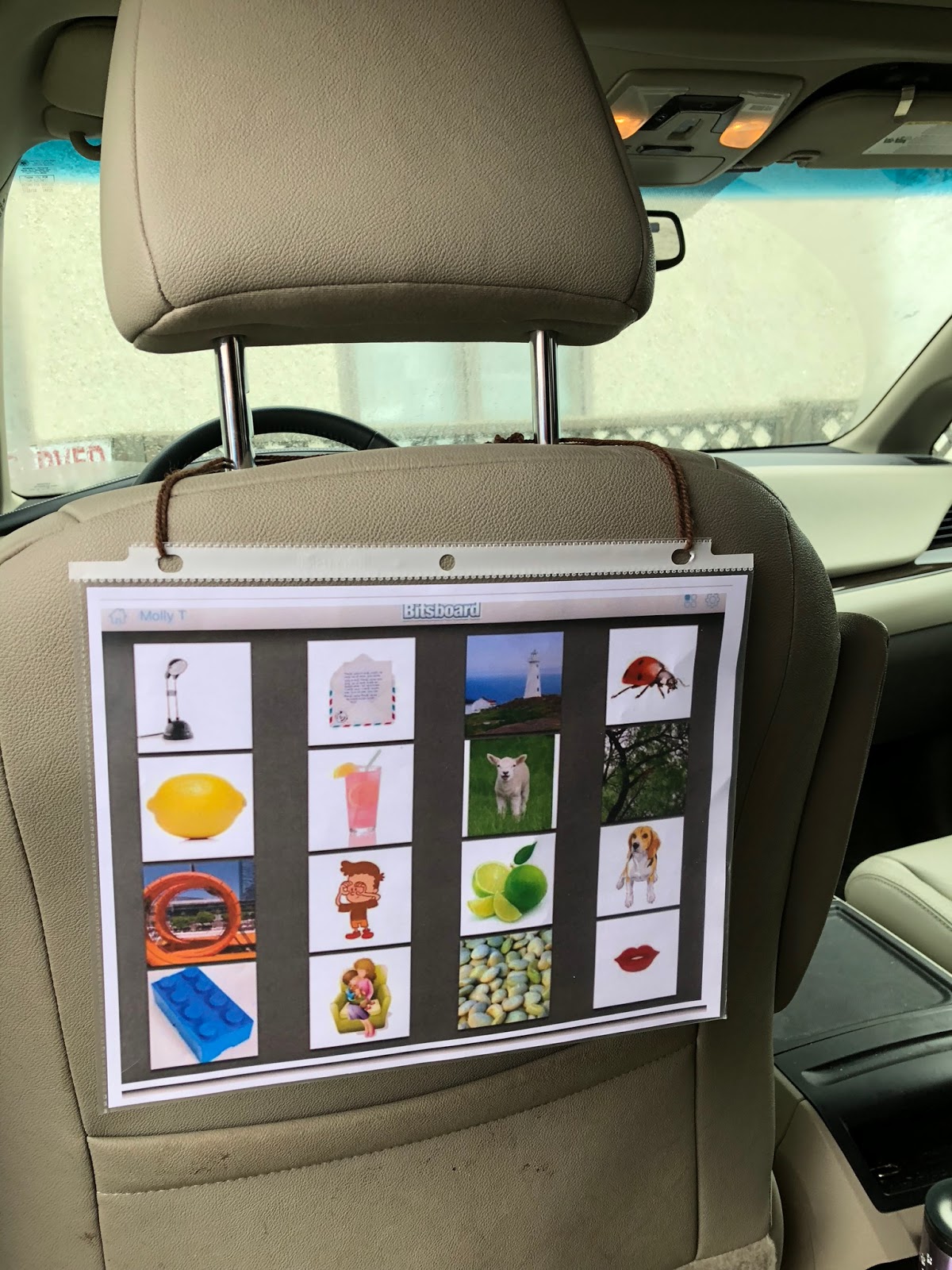 The Speech Cupboard: My neural neighborhood has a playground with a ...