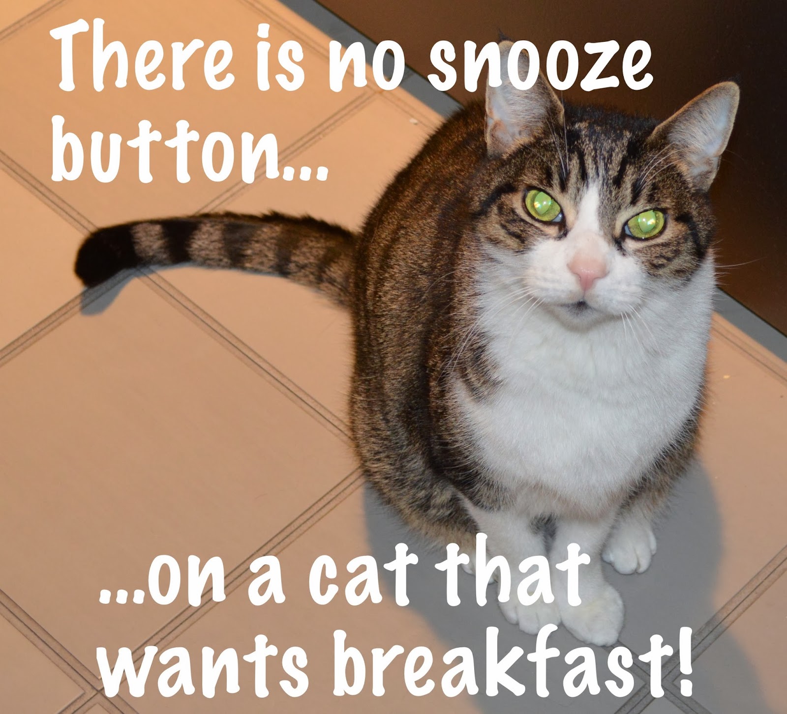 Two Men and a Little Farm: February 2014