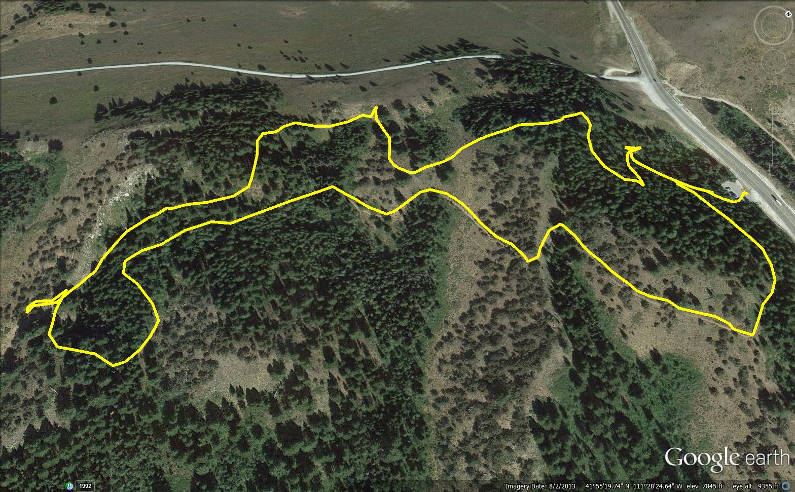 Trails Trekker: Limber Pine Trail