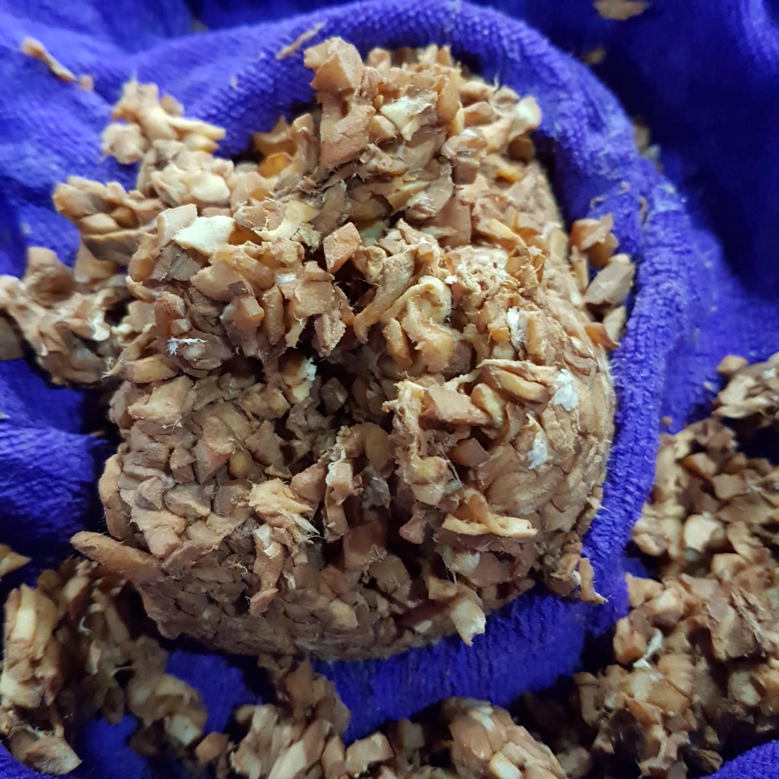 [Recipe] Sinantolan (guinataang santol or ginataang santol) - It's all ...