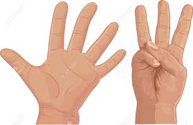 Finger Family Song wiki