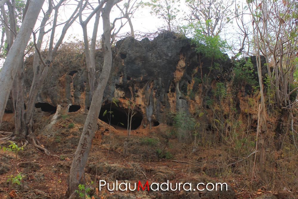Mengunjungi Wisata Spot Oksigen Pulau Giliyang - Kabupaten Sumenep ...