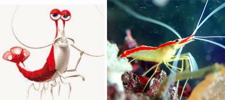 Joy's Paradise Cove: Did you know? #4: A study on Finding Nemo's ...