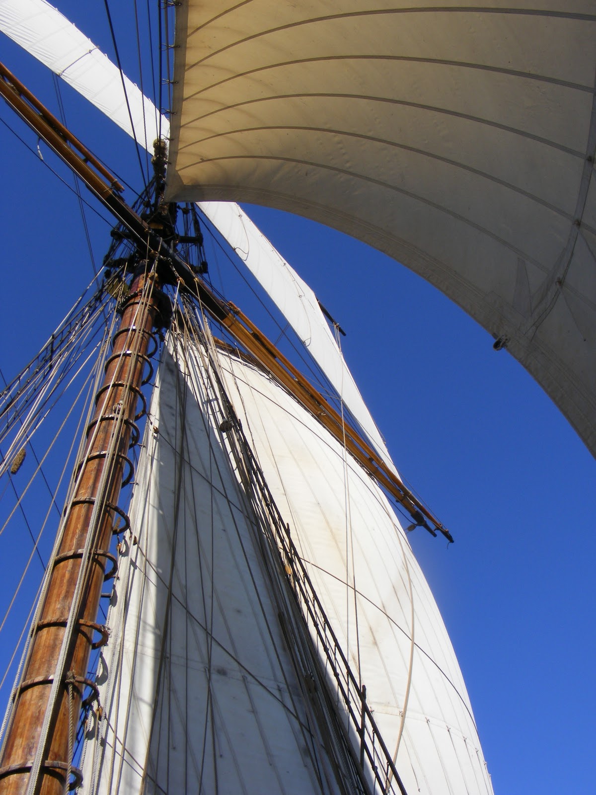 Stone Hill Farm: Tranquil Tuesday: Pride of Baltimore II