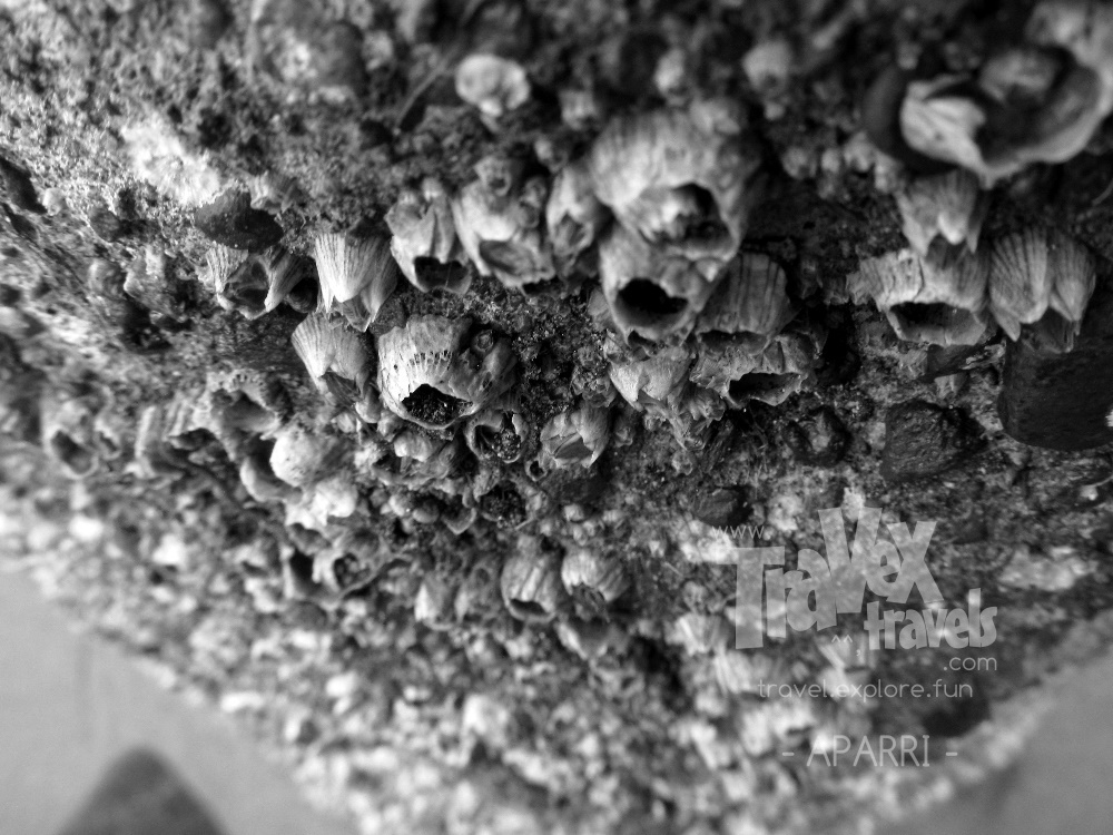 Aparri Beach, The Park, and Sigay (Fishing in Cagayan) - Travex Travels ...