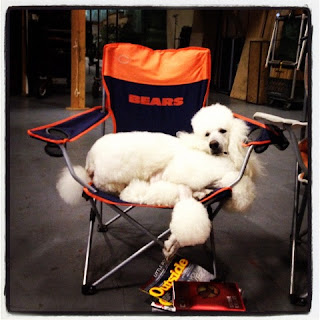 MsNscr: Mr. Ramen Noodle Poodle Pants on NCIS:LA