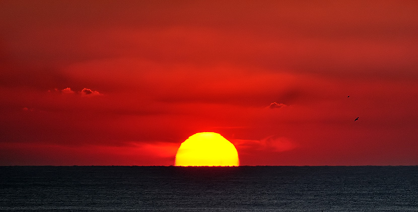 Photo and Travel: The sun sinking into the horizon - a view from my window.