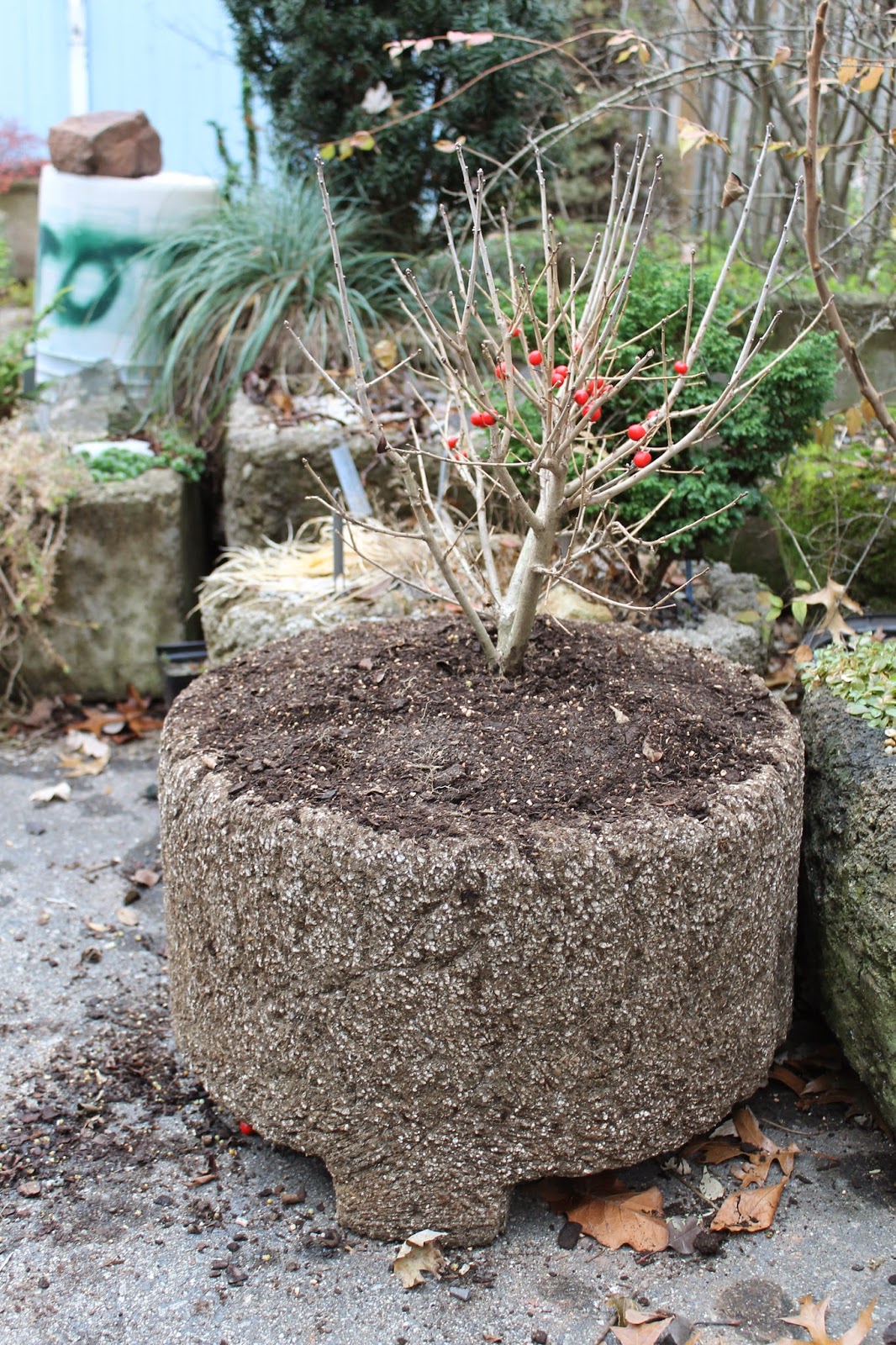 BARROW WORKS: Final New Troughs of the Year