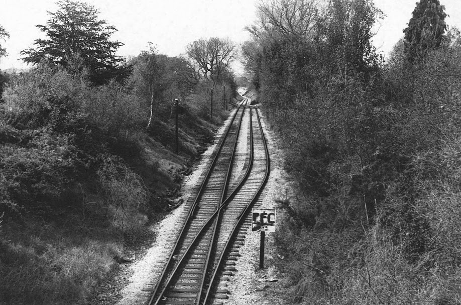 the rail thing: Threading through the South Downs