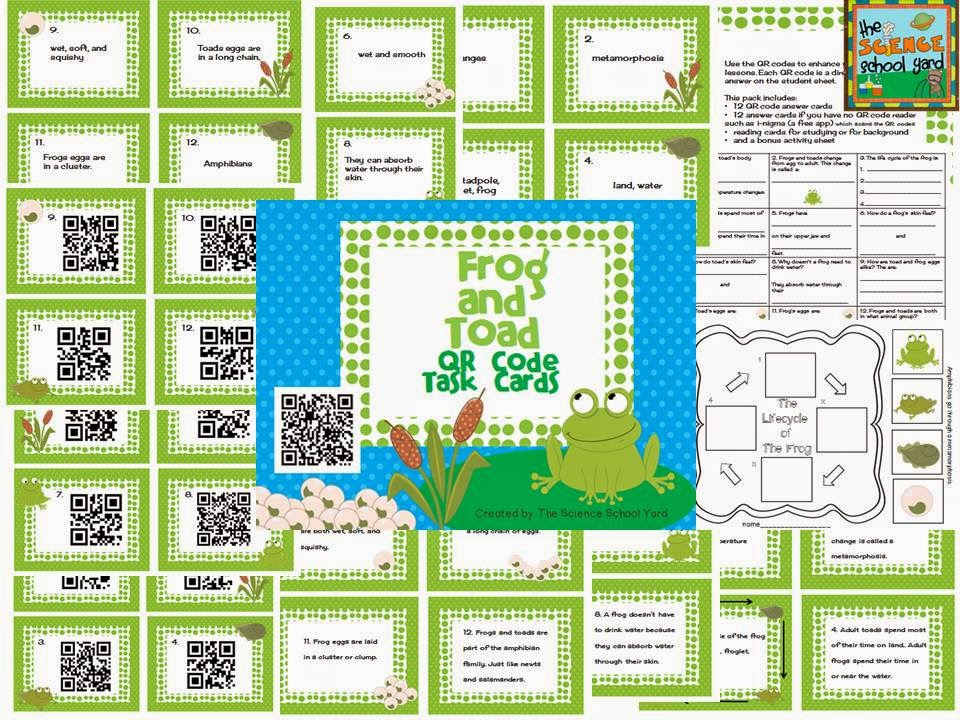 The Science School Yard: frogs