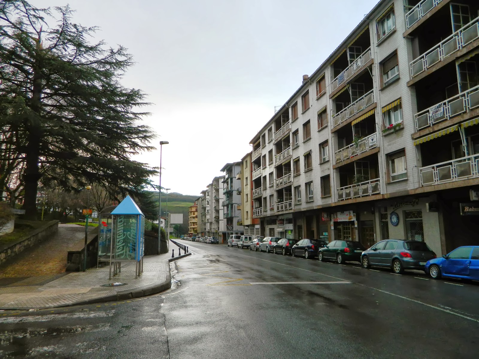 MENDIEN ARTEAN: DE ANDOAIN A ARANO