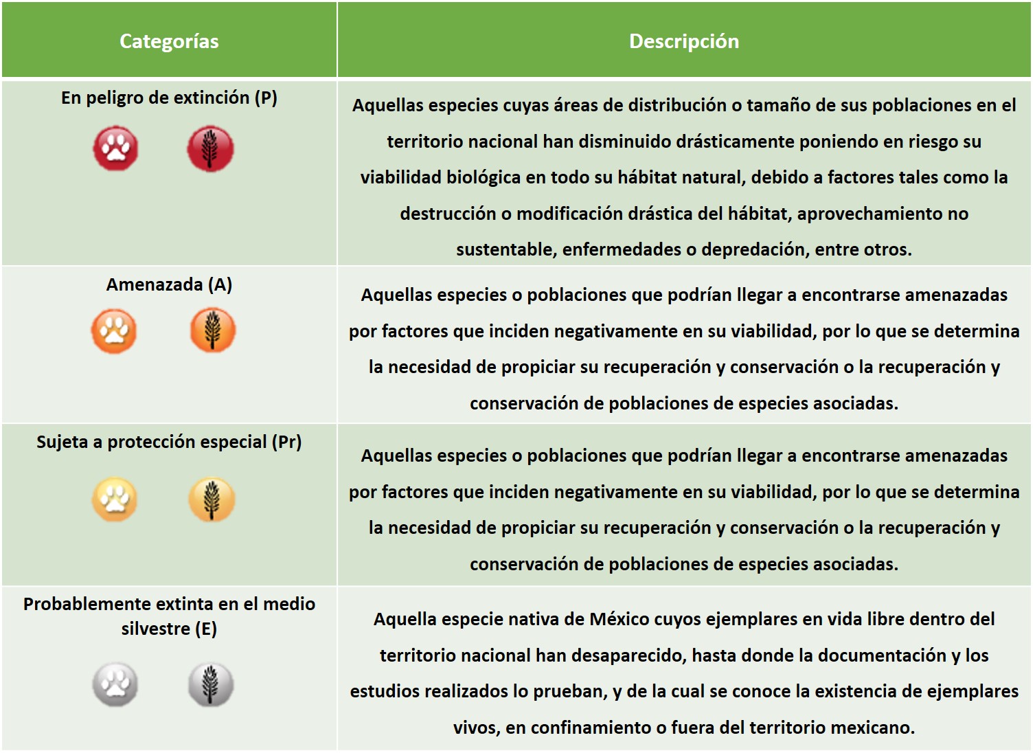 Lectura y escritura exploratoria ~ Estudios en línea