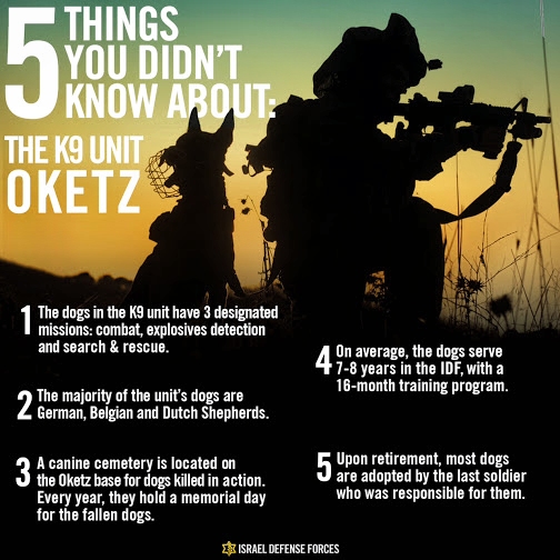 frumlife: Oketz~Israel Defense Forces K9 Unit~Amazing!