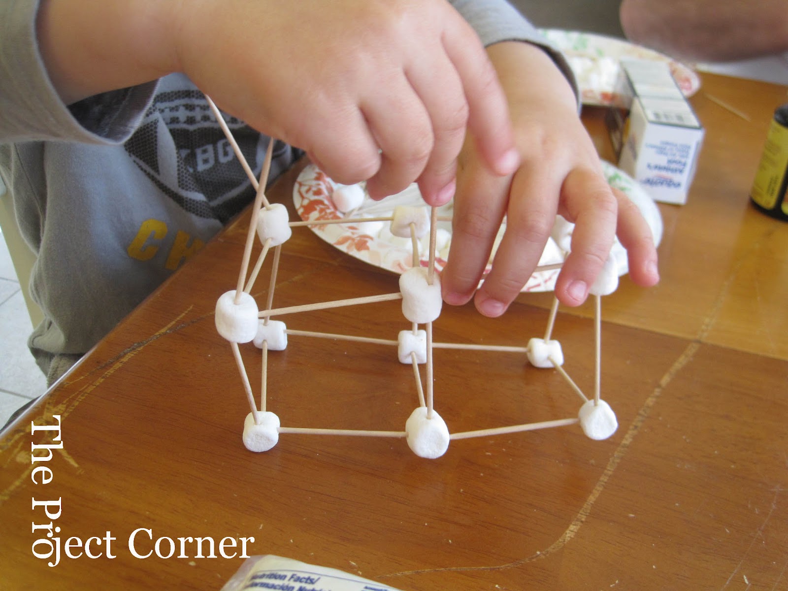 The Project Corner: Pinteresting Summer-Marshmallow & Toothpicks