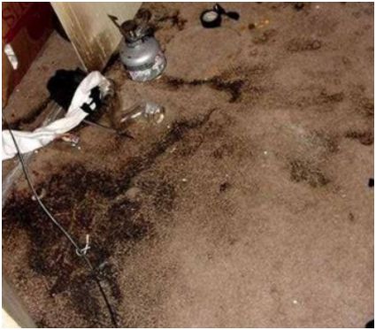 Tristachio: Just A Bit Nutty: What DO Meth Stains Look Like On A Carpet?